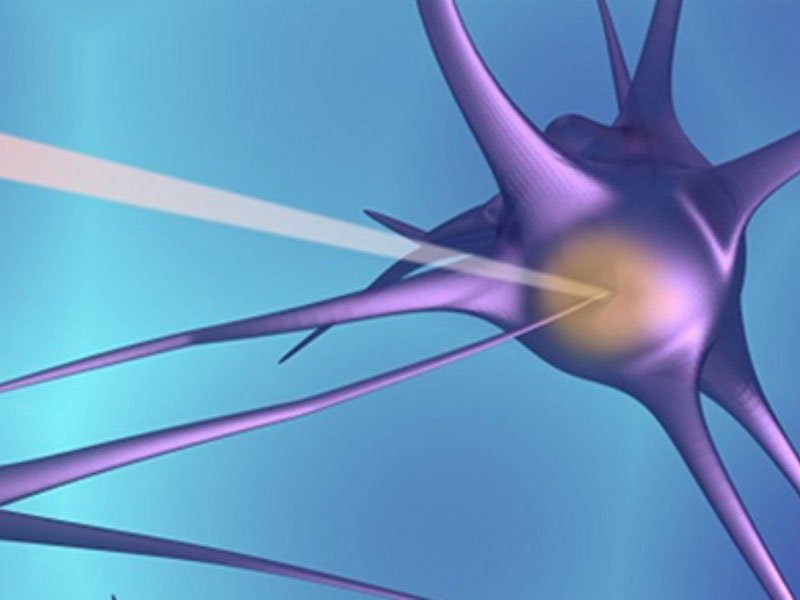 Researchers Weld Neurons Together, Hope to One Day Repair Spinal ...